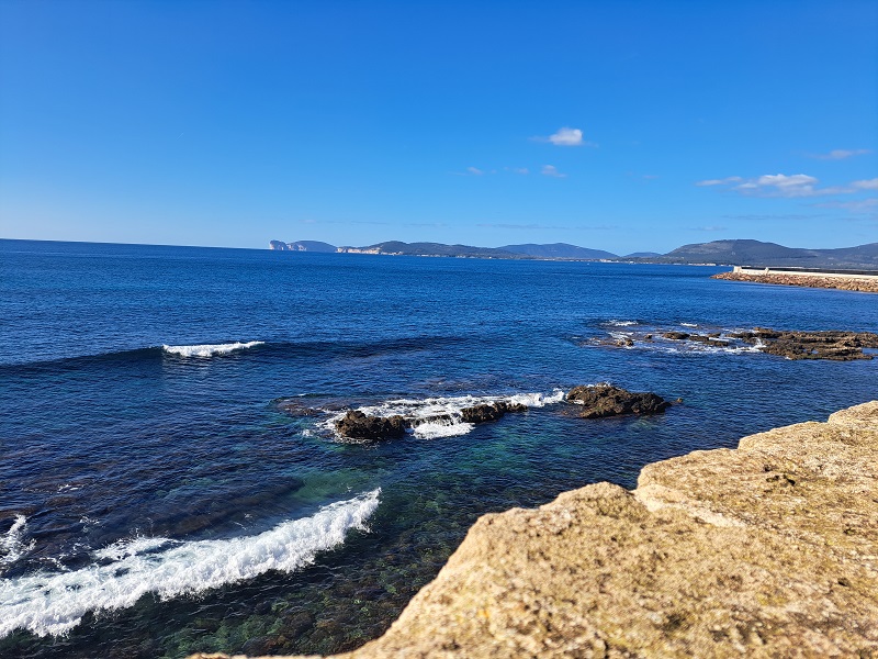 Uniss within the EUNICoast alliance | Università degli Studi di Sassari